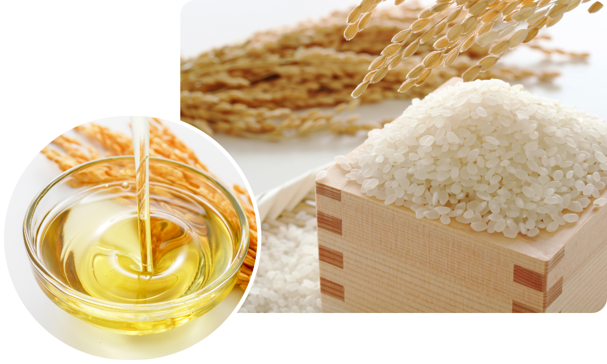 KOME-TOCORICH® - We, Watanabe Chemical Co., Ltd. are trading company ...